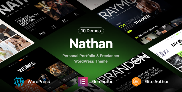 Nathan – Persönliches Lebenslauf-CV-Portfolio-WordPress-Template ...